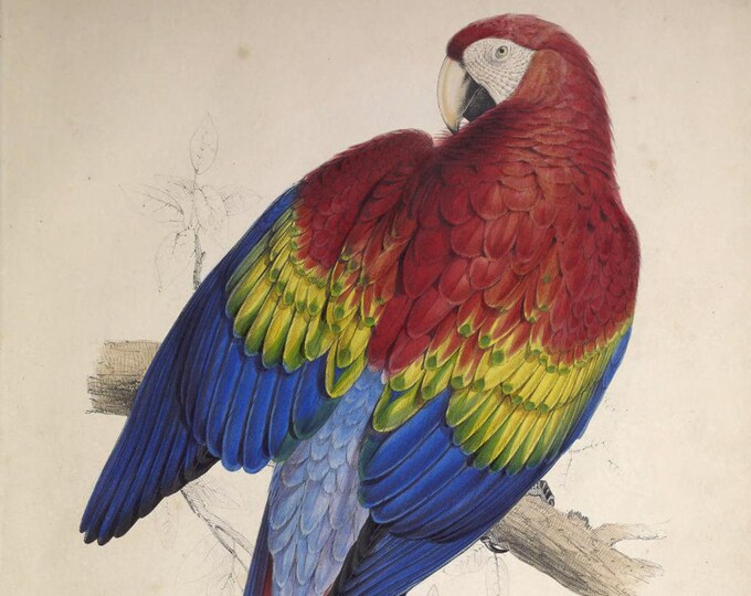 This item is unavailable - Etsy