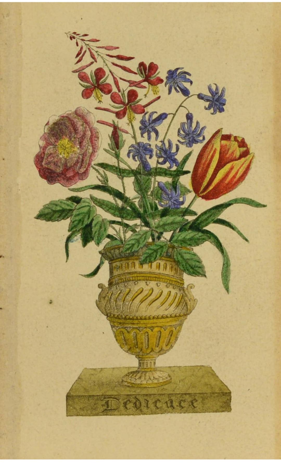 Antique Botanical Prints From a French Book Published in Paris in 1832 ...