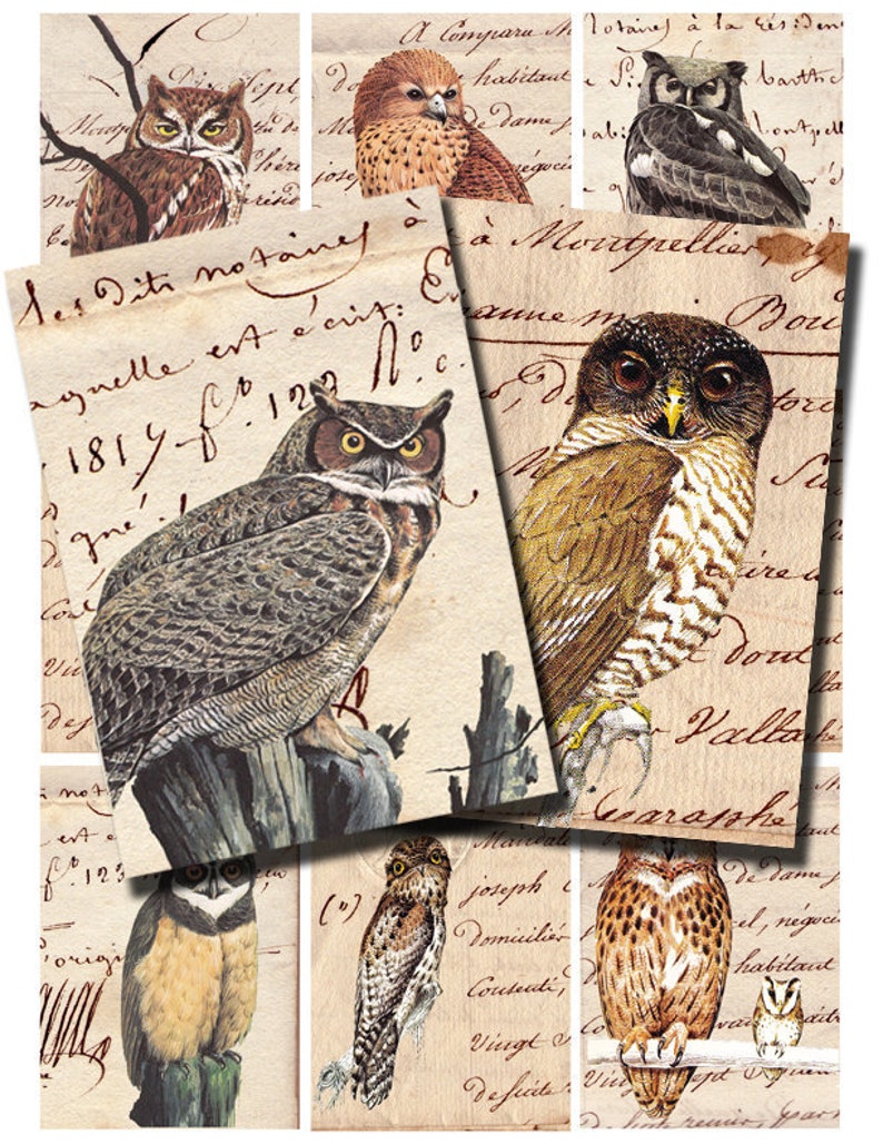 Wise Old Owls on Antique Handwriting for Arts and Crafts - Etsy