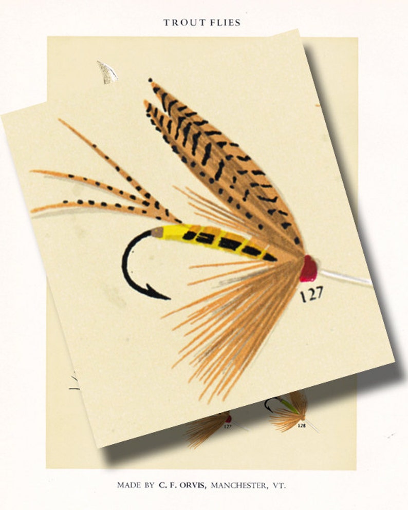 Antique Fly Fishing Print From the 19th Century Printable - Etsy