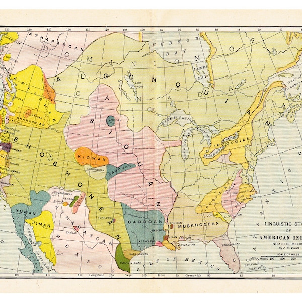 Linguistic Map - Etsy