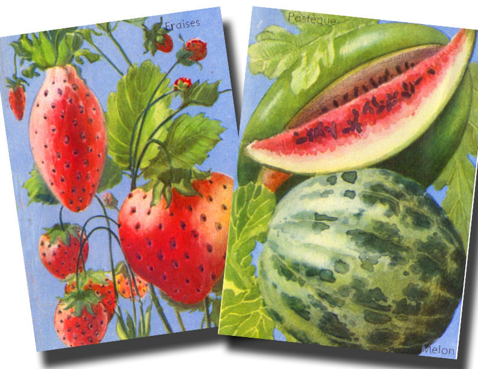 Vintage French Fruit Labels, Beautiful Illustrations, Printable Digital ...