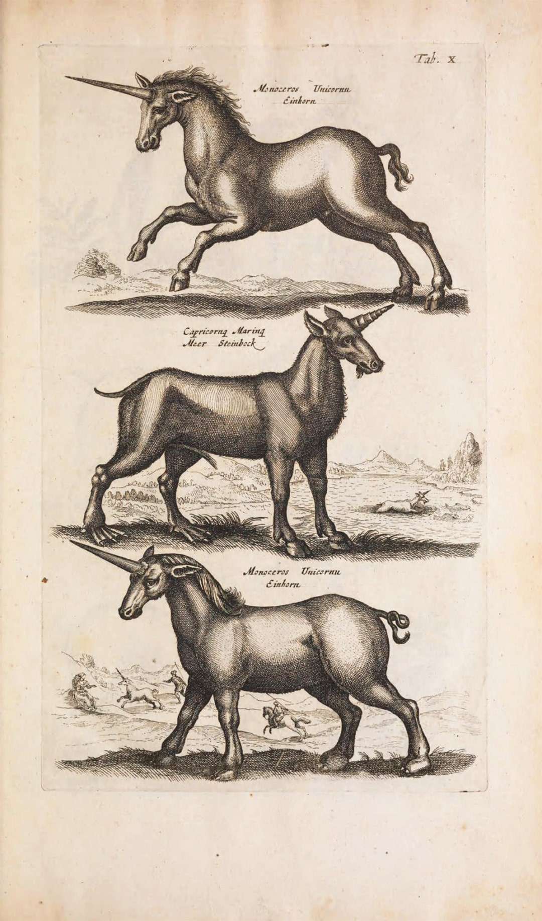 Antique Illustration of Unicorns and Mythical Creatures, Printable ...