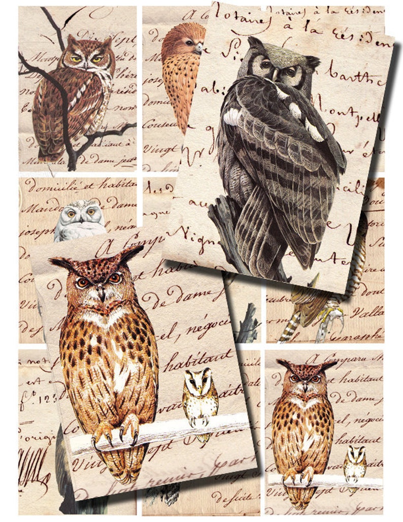 Wise Old Owls on Antique Handwriting for Arts and Crafts - Etsy UK