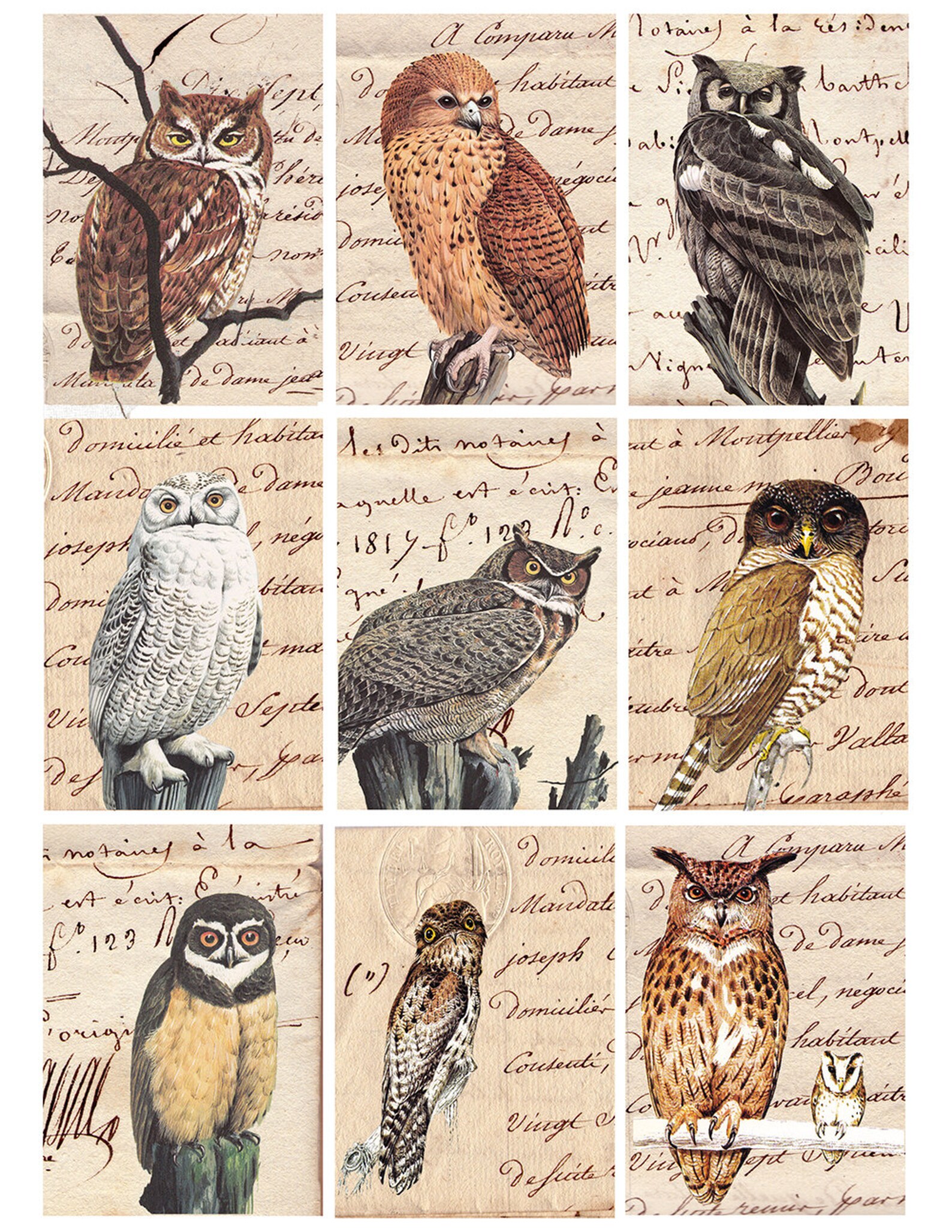 Wise Old Owls on Antique Handwriting for Arts and Crafts - Etsy UK