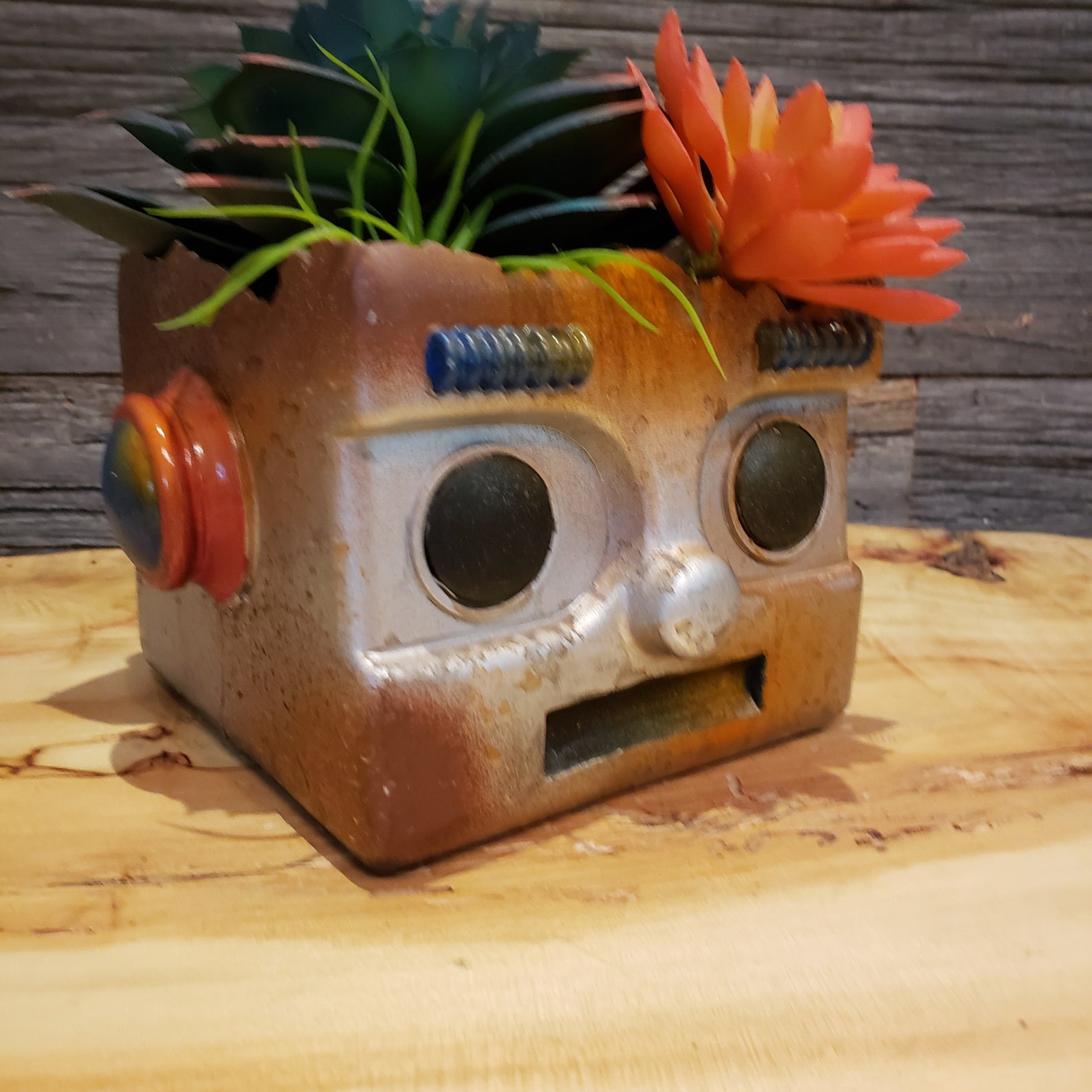 Rusted Robot Head Planter Succulents Air Plants Terrarium Kids - Etsy