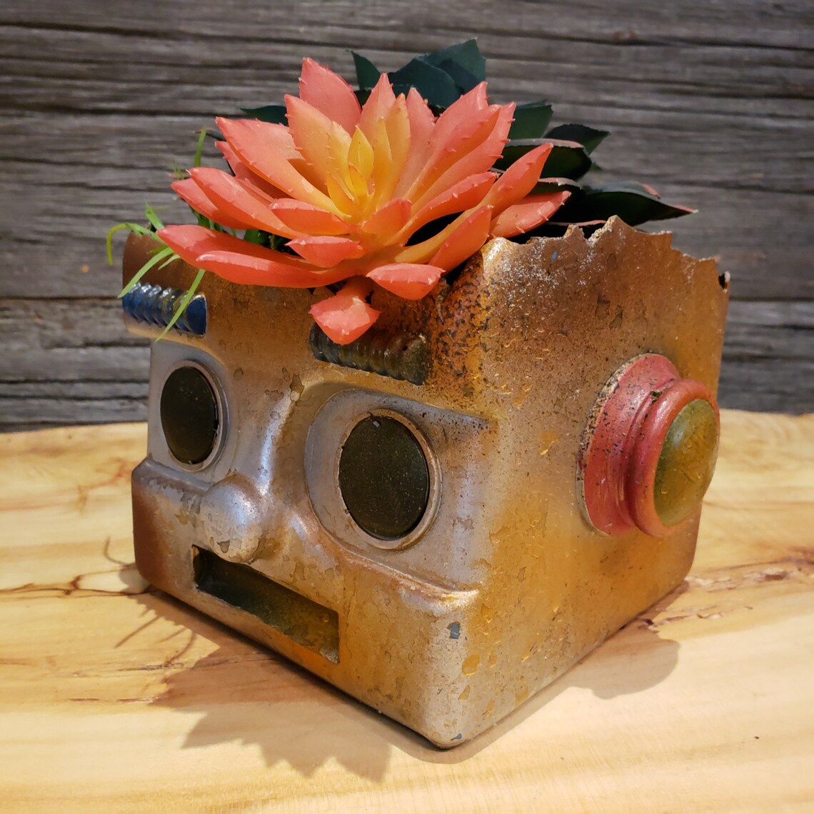 Rusted Robot Head Planter Succulents Air Plants Terrarium Kids - Etsy