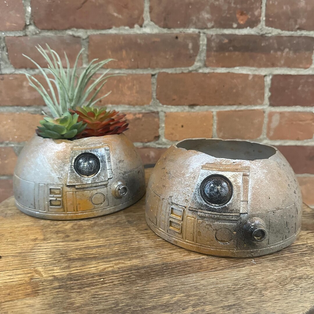 Empty R2-D2 Dome Head Wedding Centerpiece Planter Succulents Air Plants ...