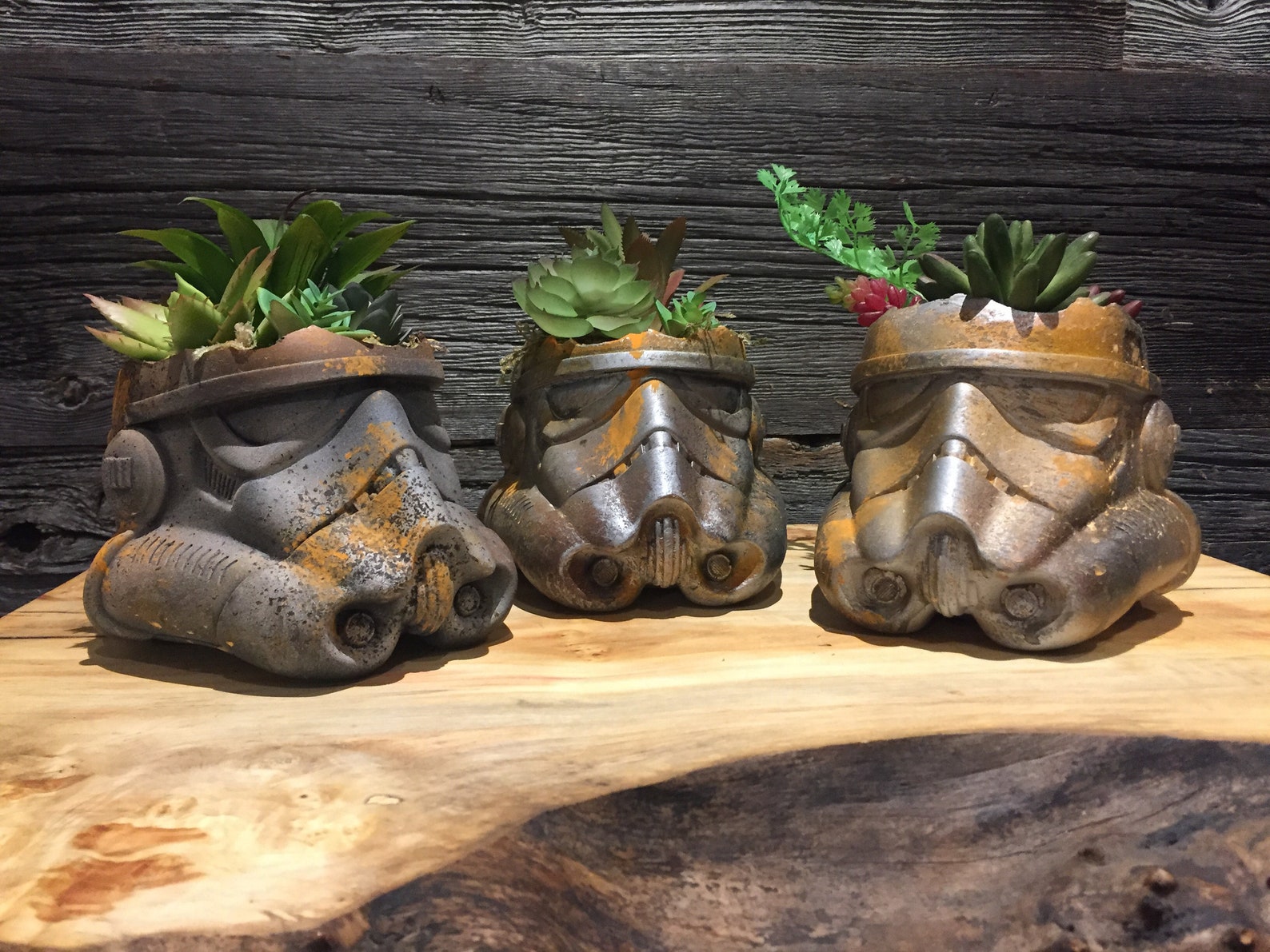 Rusted Stormtroooper Helmet Planter Succulents Air Plants - Etsy