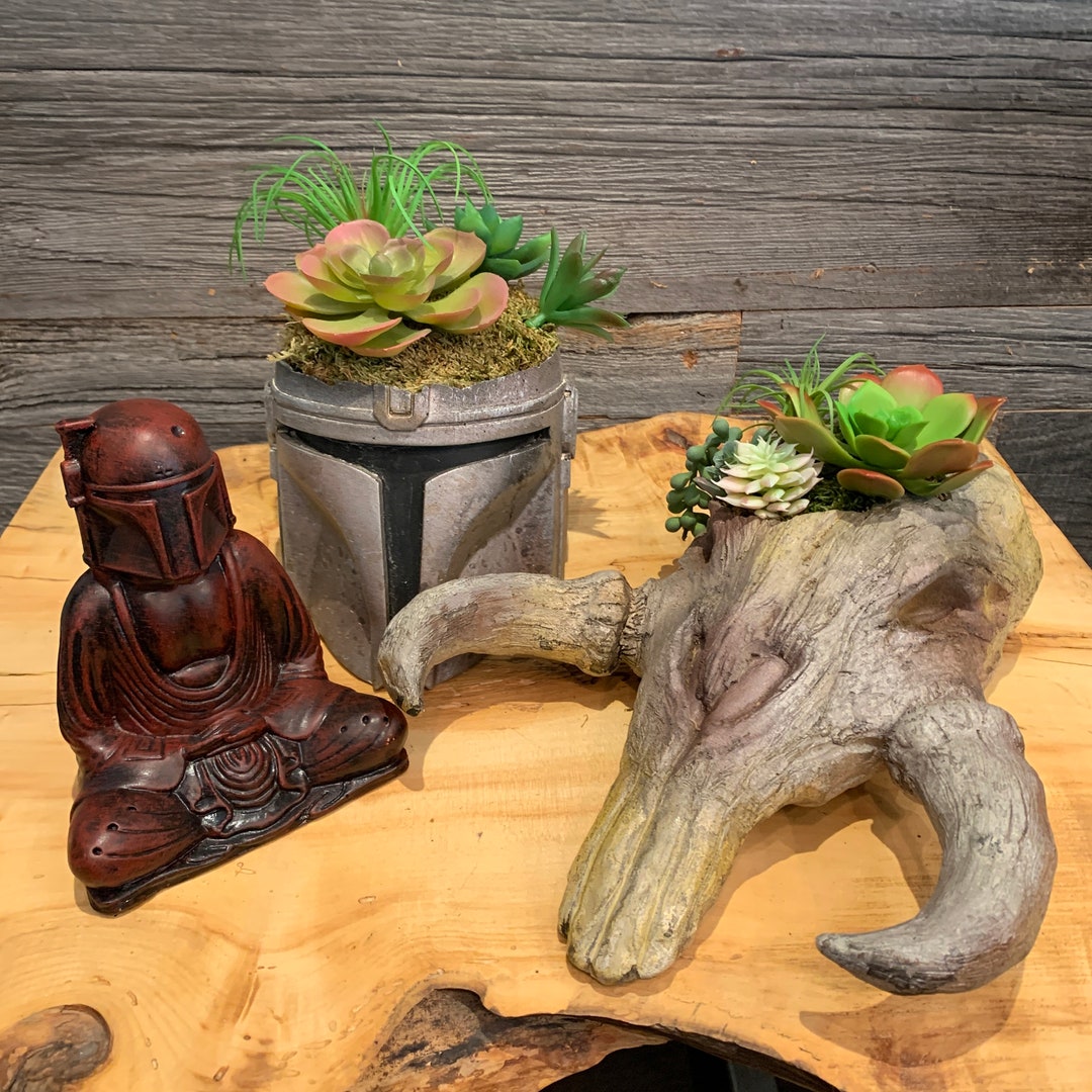Mandalorian Mythosaur Skull Planter Succulents Air Plants Terrarium ...
