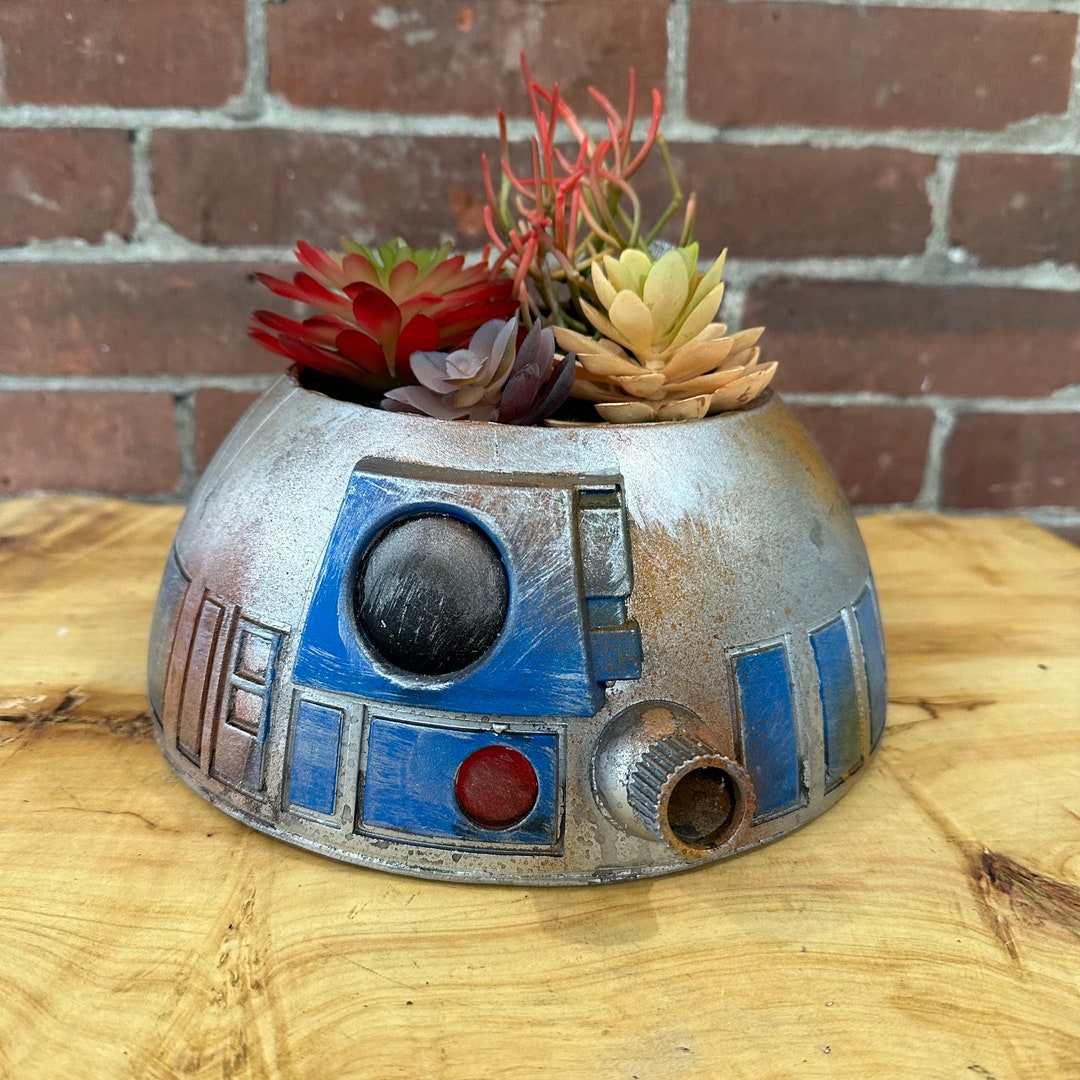 R2-D2 Dome Head Planter Succulents Air Plants Terrarium Decor - Etsy