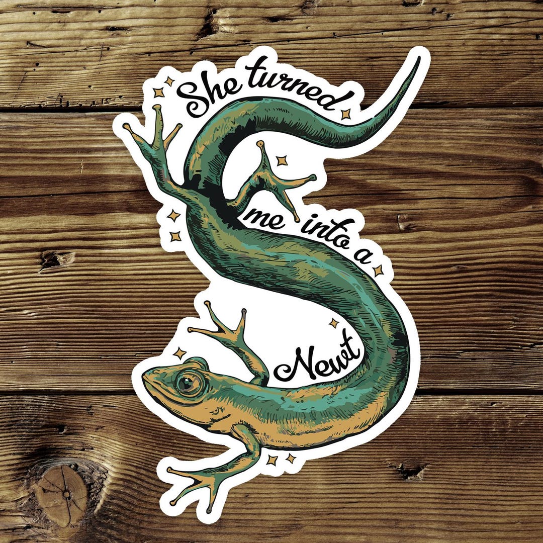 4" She Turned Me Into A Newt - Sticker Funny Newts Vinyl Decal Stickers ...