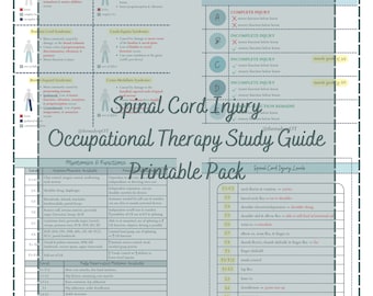 Spinal Cord Injury SCI, Occupational Therapy, Physical Therapy, Back ...