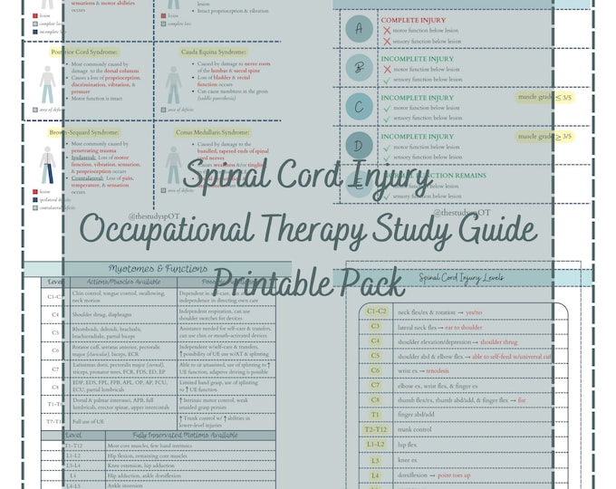 Spinal Cord Injury Concept Map & Expanded Chart - Etsy