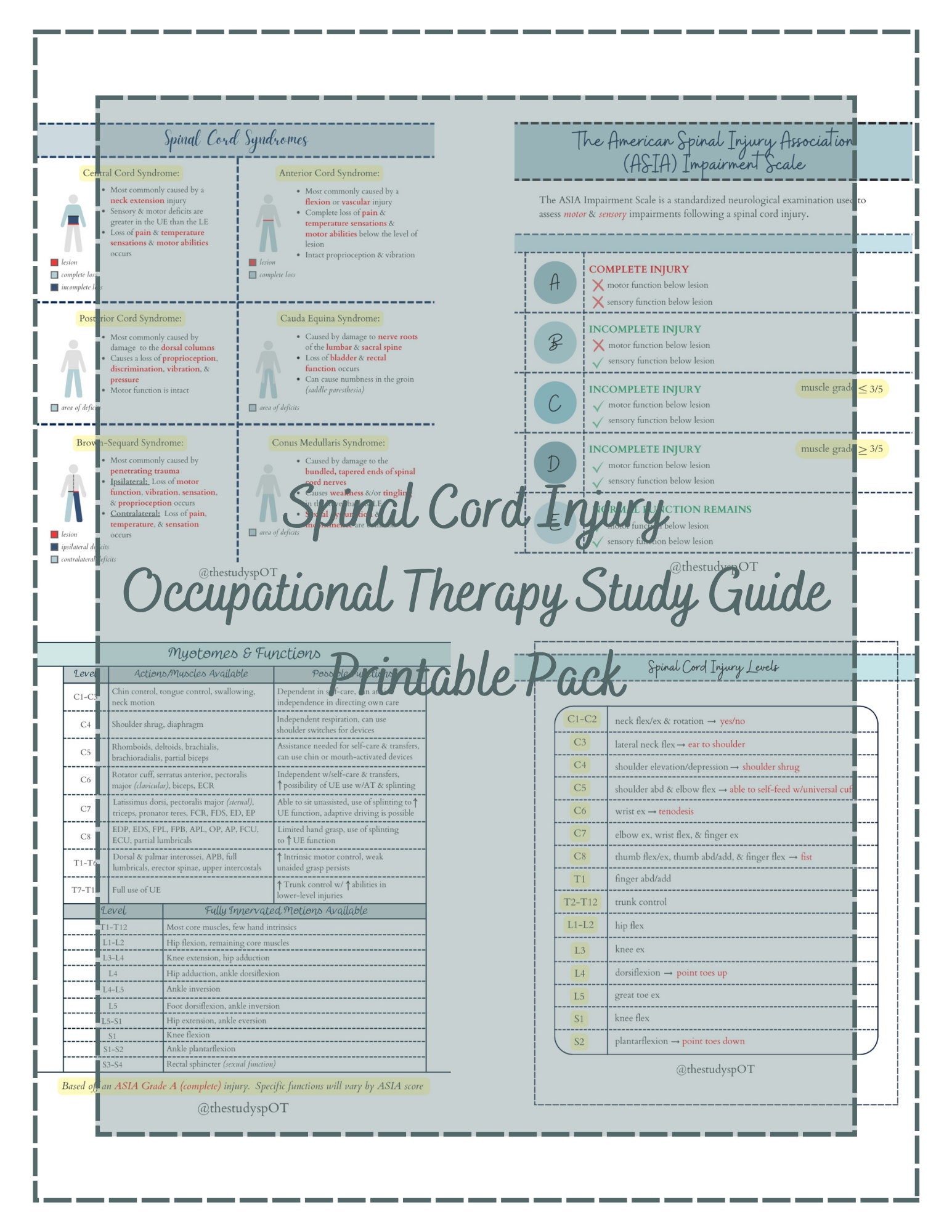 Spinal Cord Injury Occupational Therapy Study Guide Printable Bundle - Etsy