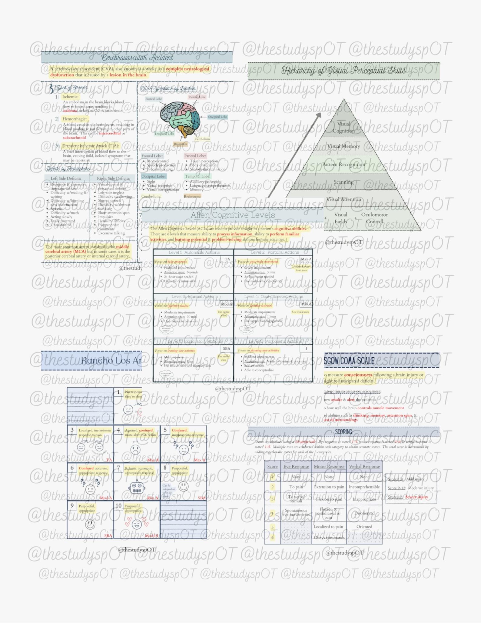 NBCOT Exam Preparation Study Guide Printable Bundle - Etsy