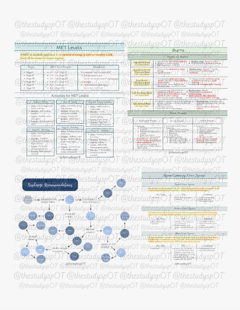 NBCOT Exam Preparation Occupational Therapy Study Guide Printable ...