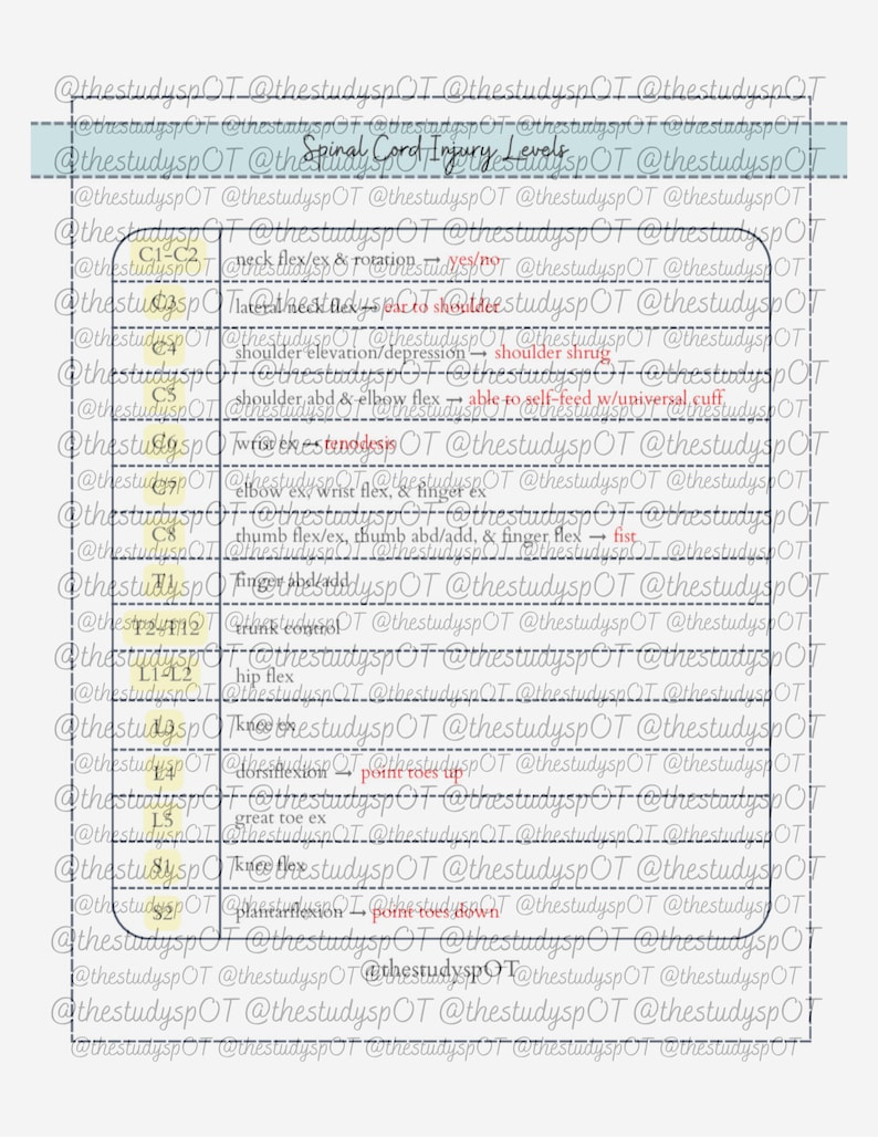 Spinal Cord Injury Occupational Therapy Study Guide Printable Bundle - Etsy