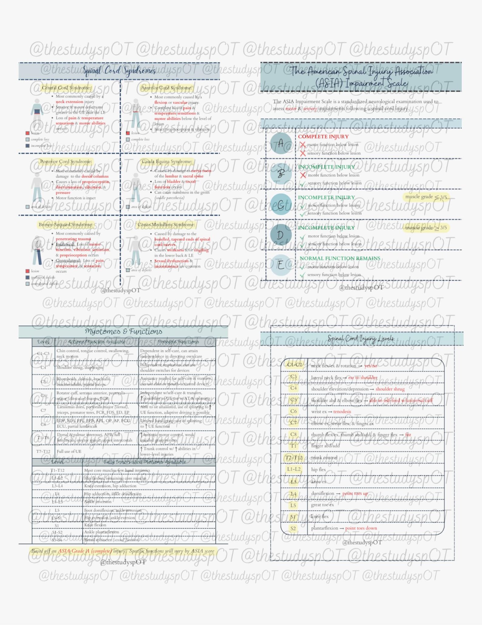 NBCOT Exam Preparation Study Guide Printable Bundle - Etsy
