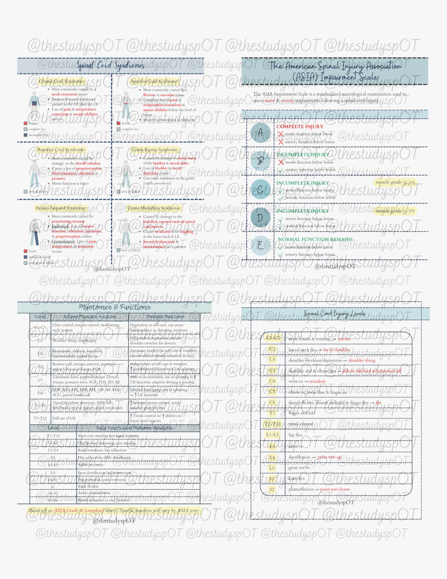 NBCOT Exam Preparation Occupational Therapy Study Guide Printable Bundle - Etsy