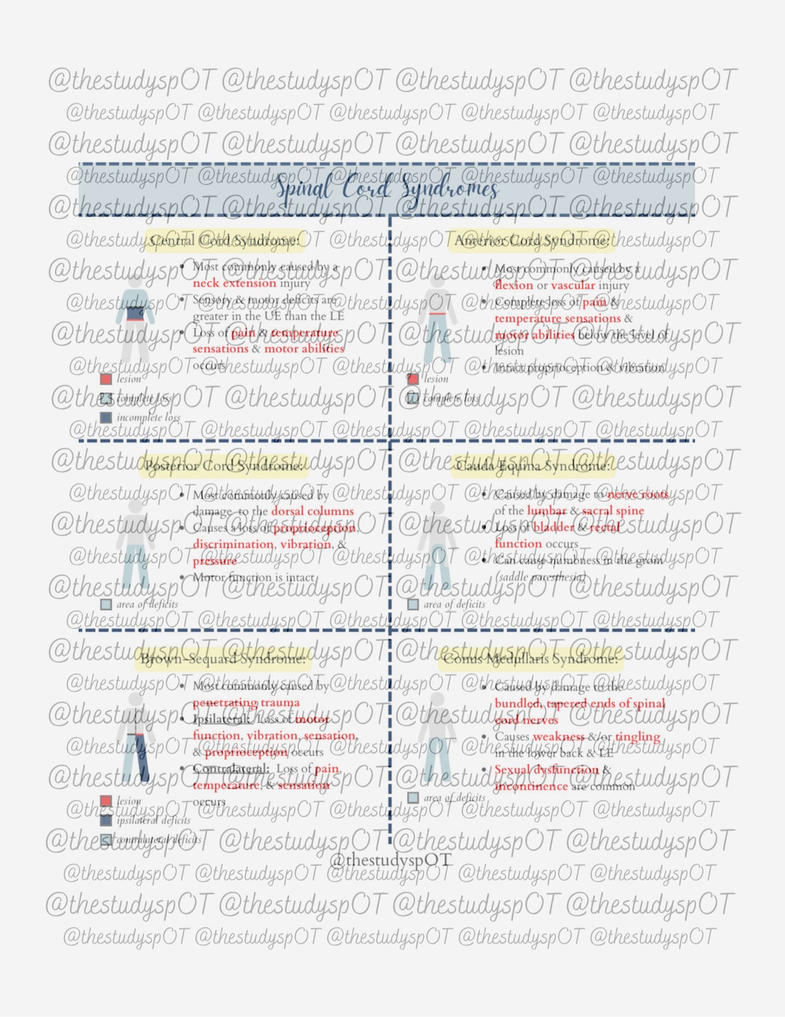 Spinal Cord Injury Occupational Therapy Study Guide Printable Bundle - Etsy