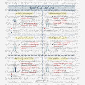 Spinal Cord Injury Occupational Therapy Study Guide Printable Bundle - Etsy