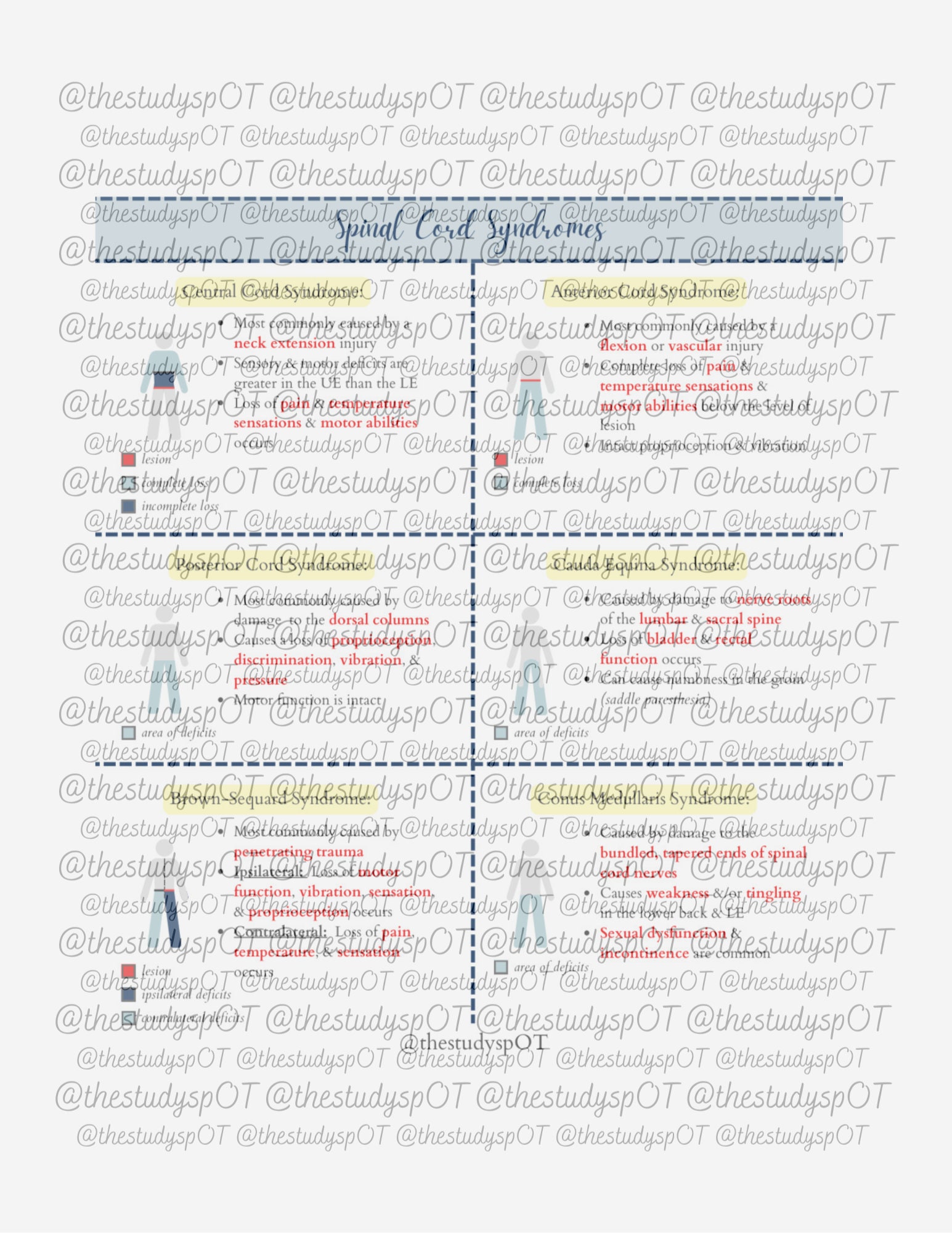 Spinal Cord Injury Occupational Therapy Study Guide Printable Bundle - Etsy