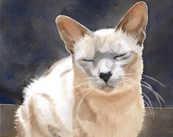 Tonkinese Tonk Siamese Cat Art Print of a Watercolor Painting | Etsy