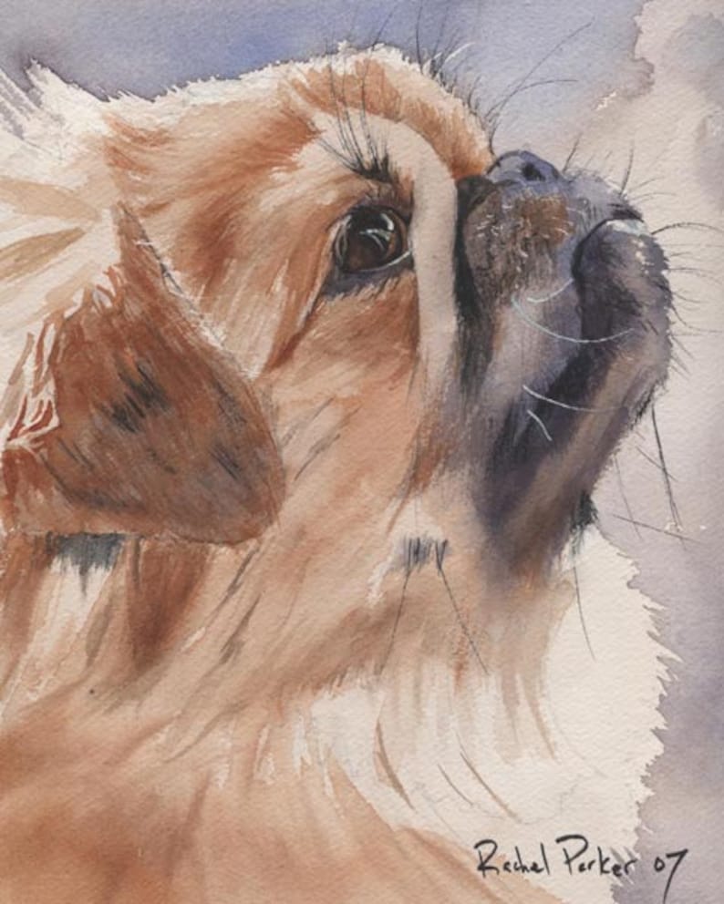 Pekingese Dog Art Print of My Watercolor Painting Large Hand Painted ...