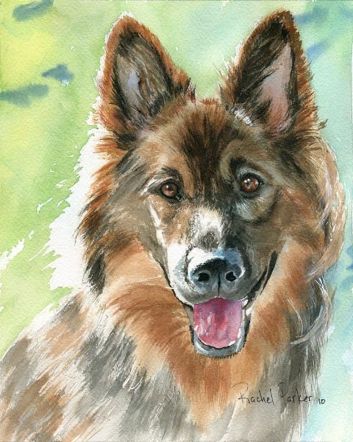 German Shiloh Shepherd Dog Art Print of My Watercolor Painting - Etsy