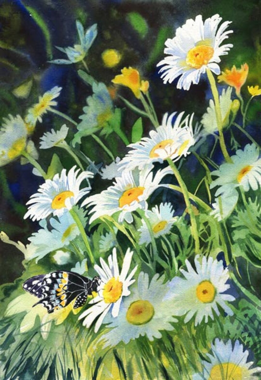 Butterfly Art Flower Daisy Daisies Print or Giclee Floral Art ...