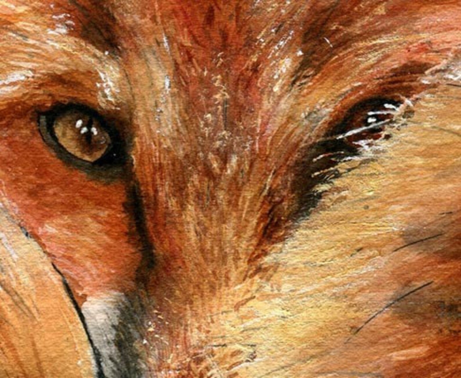 Red Fox Portrait Art Print Reproduction Wildlife Forest Tundra - Etsy