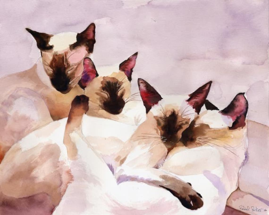 Print Siamese Cat Art From Watercolor Painting Seal Point - Etsy