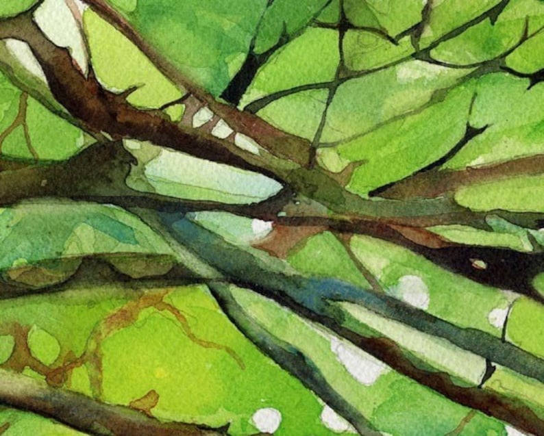 Zen Nature Abstract Green Art Print of My Watercolor Painting Branches ...