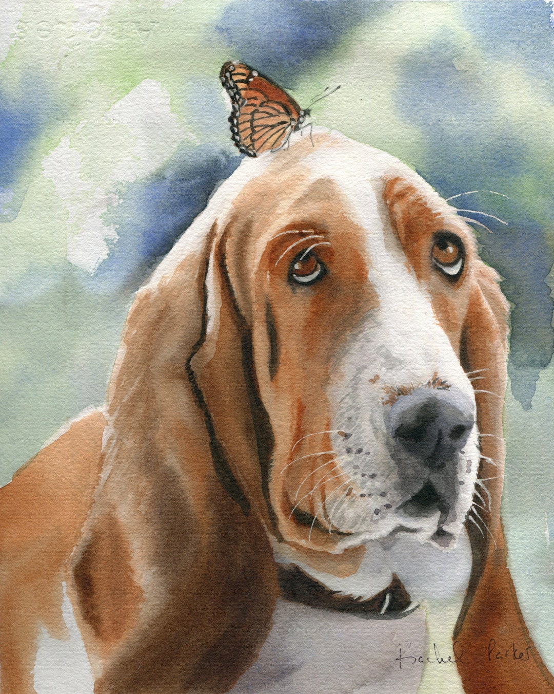 Print of Basset Hound and Butterfly Watercolor Art Large Huge Custom ...