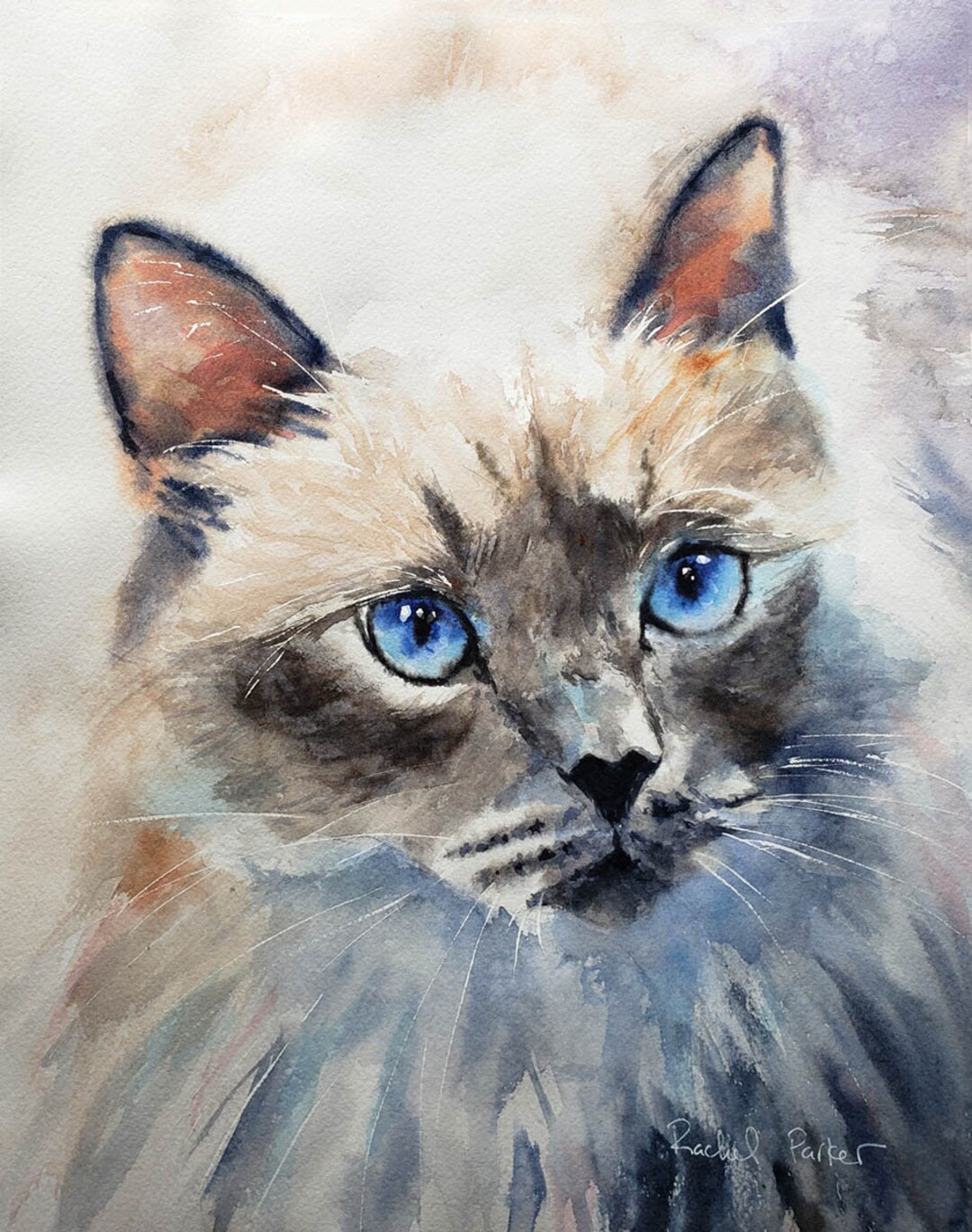 Original Ragdoll Cat Art Watercolor Painting - Etsy