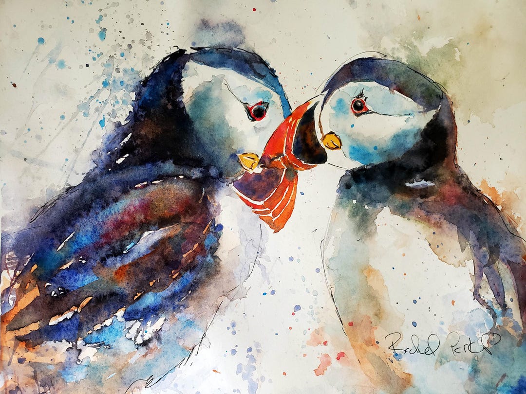 Puffin Original Puffin Art Puffin Watercolor Puffin Painting - Etsy