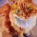 Orange Marmalade Bicolor Tabby Cat Art Print of My Watercolor Painting ...