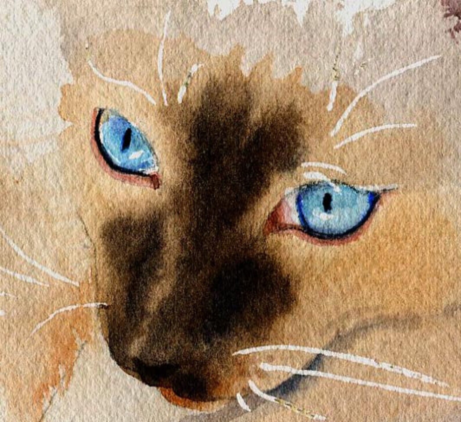 Siamese Cat Art PRINT Watercolor Painting Artwork Artist - Etsy