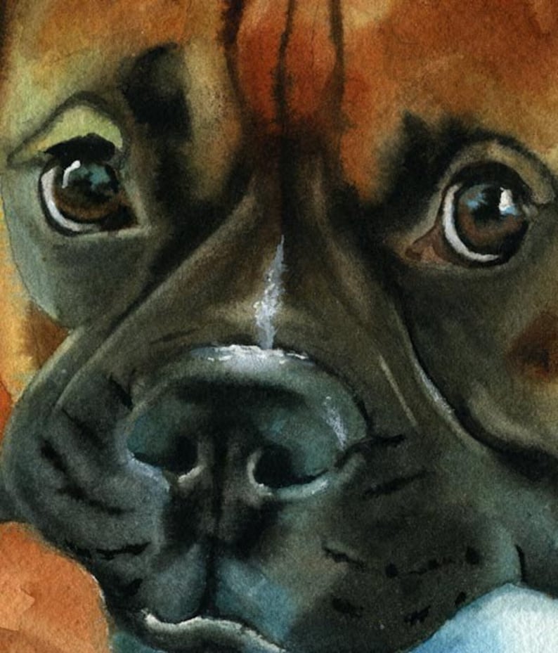 Boxer Dog Art Print of My Watercolor Painting Boxer Baby - Etsy