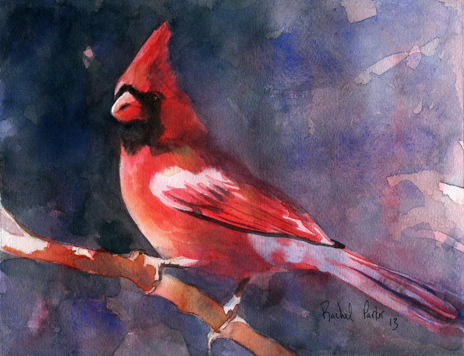 Cardinal Song Bird Art Print of My Painting Watercolor - Etsy