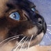 Chocolate Point Applehead Siamese Cat Art Print of My Watercolor ...