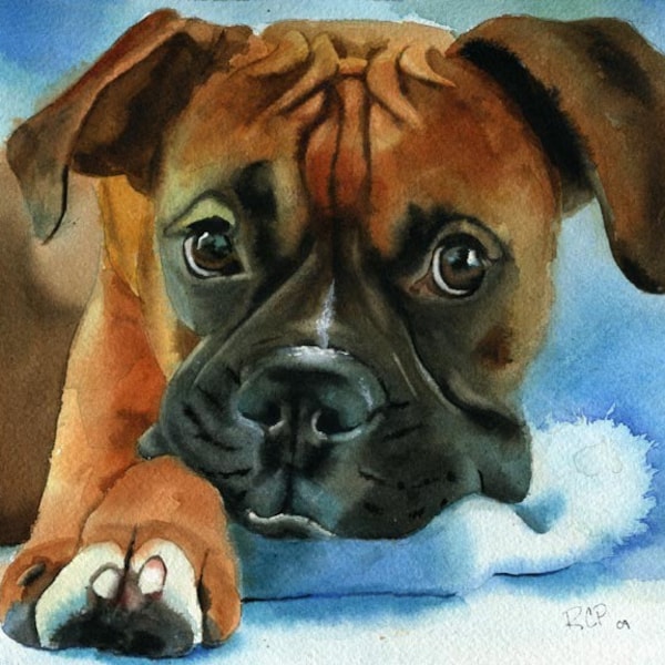 Boxer Dog Watercolor - Etsy