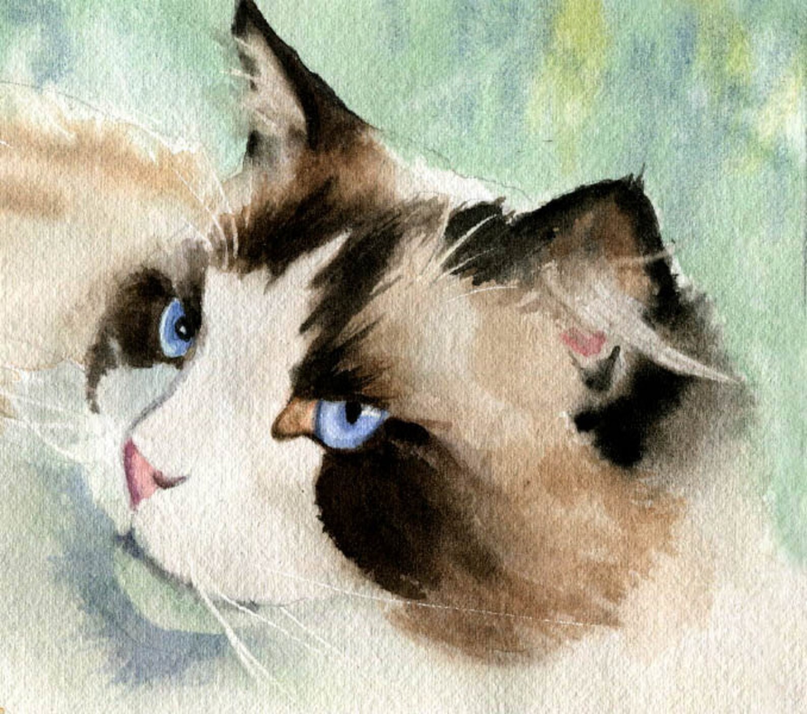 Ragdoll Cat Art Print of My Watercolor Painting Portrait Gift | Etsy