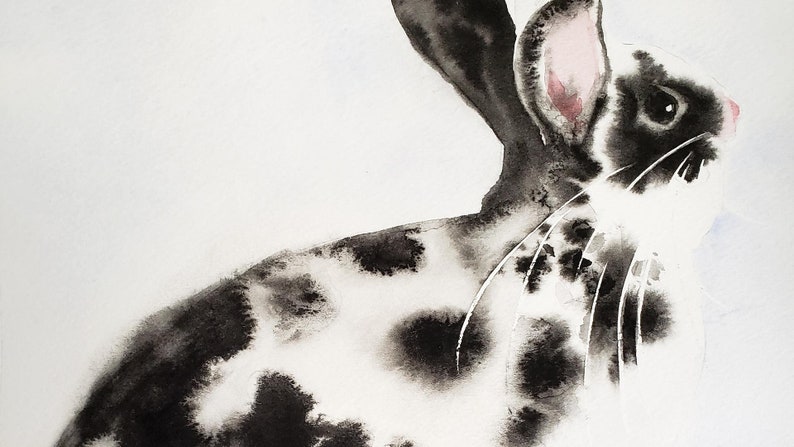 Original Black and White Rex Bunny Rabbit Art Realistic - Etsy