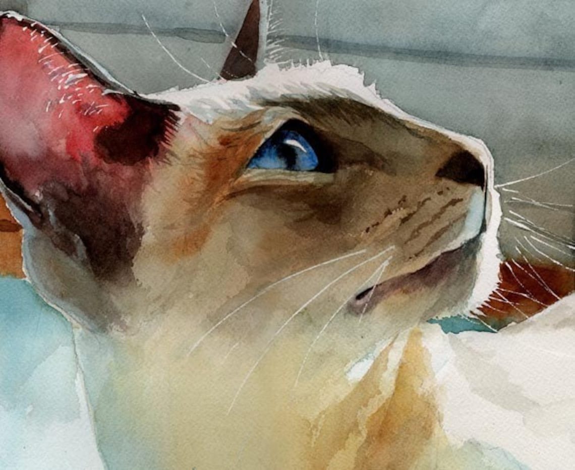 Siamese Cat Art Print of My Watercolor Painting Siamese in - Etsy