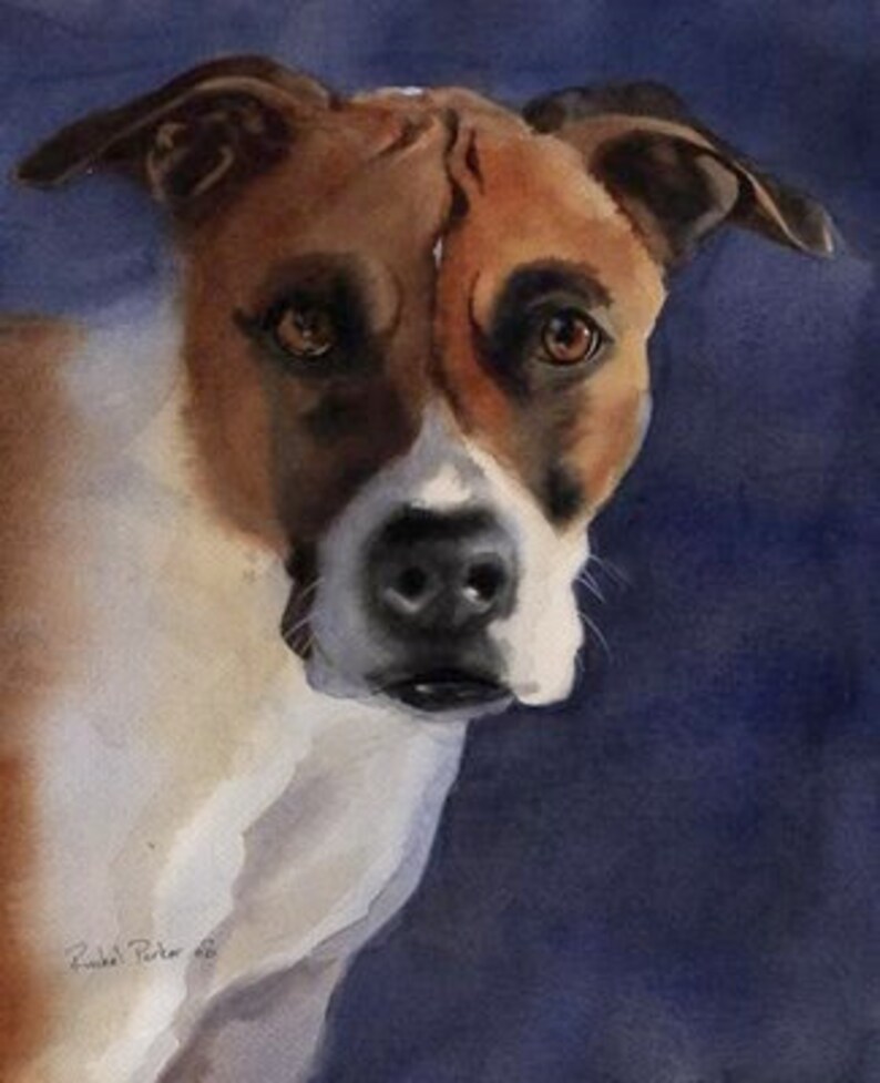 Boxer Dog Art Print of My Watercolor Painting Boxer Portrait - Etsy