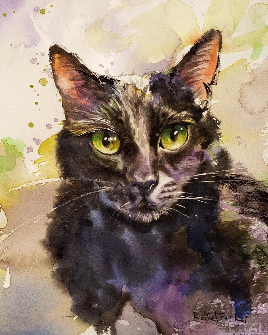 Visual Arts Tutorials Black Cat Watercolor Lesson Intermediate ...