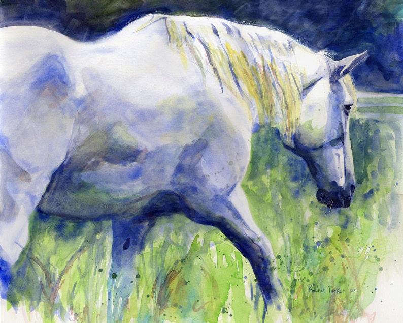 White Horse Percheron Art Print of My Watercolor Painting Day - Etsy