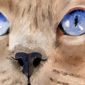 Tonkinese Tonk Siamese Cat Art Print of a Watercolor Painting Big Large ...